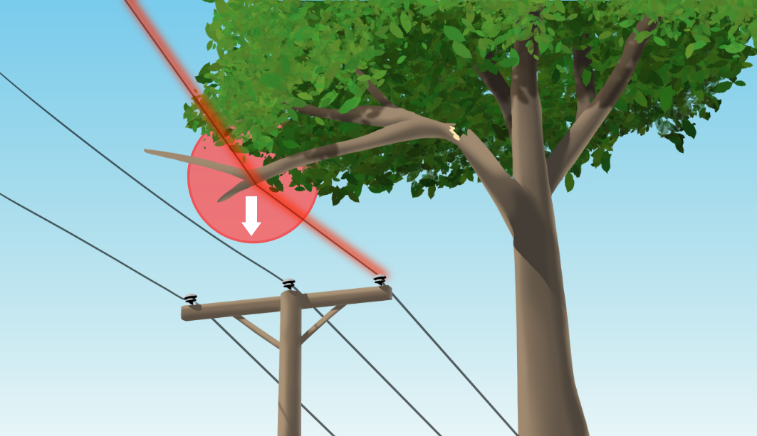 Forestry | Consumers Energy