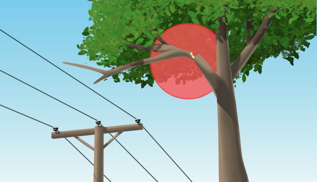 Forestry | Consumers Energy