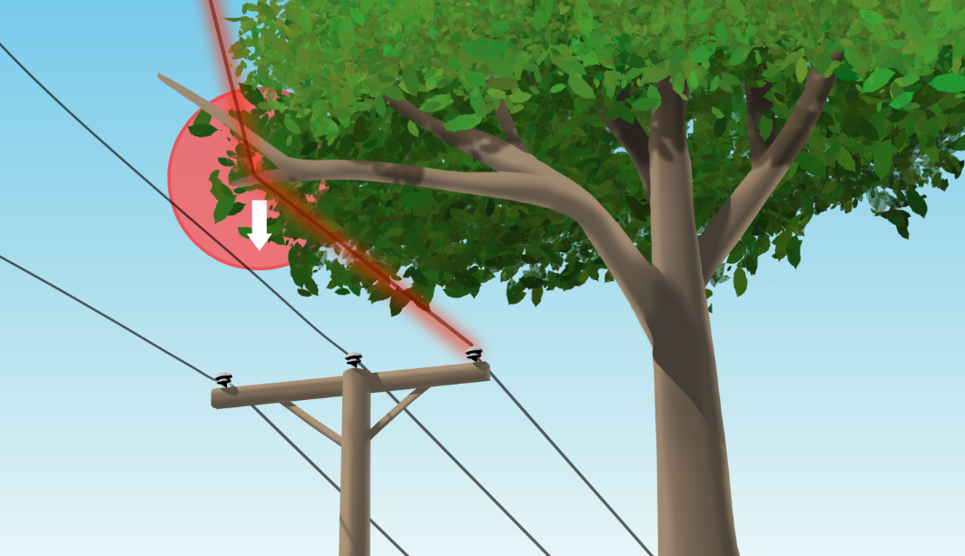 Forestry | Consumers Energy