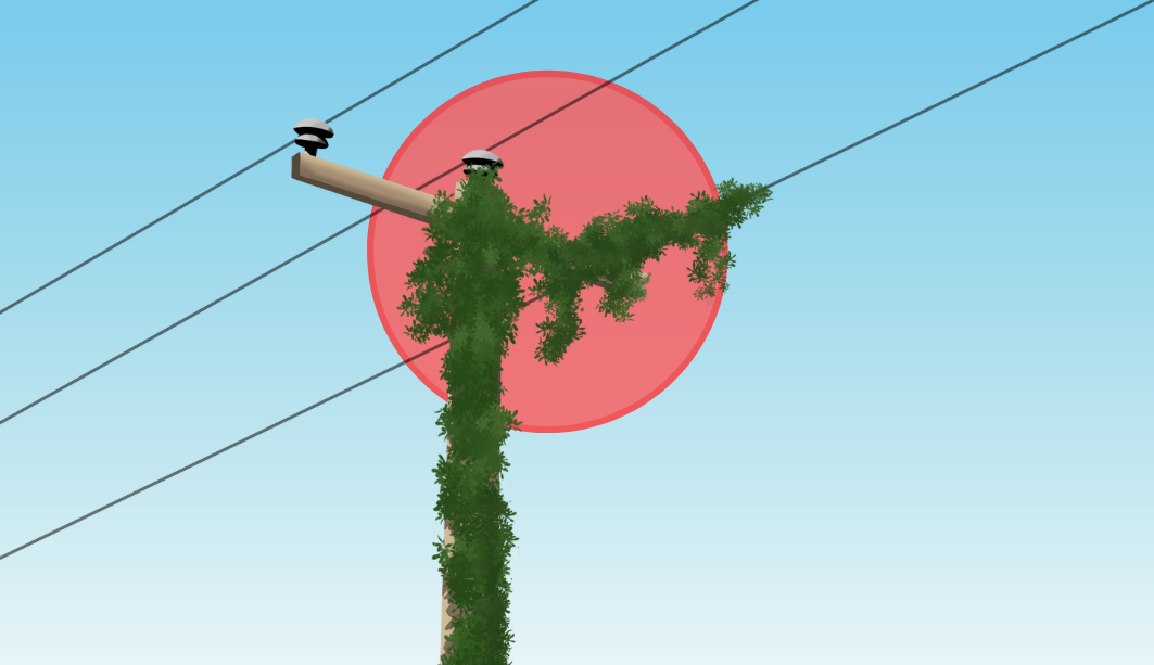 Forestry | Consumers Energy