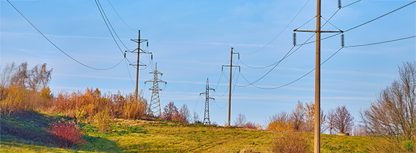 Real Estate & Utility Land Use | Consumers Energy