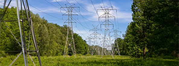 Real Estate & Utility Land Use | Consumers Energy