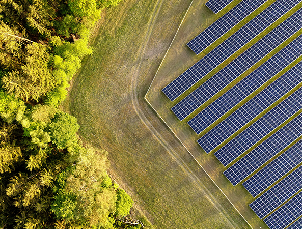 Business Renewable Energy Program | Consumers Energy