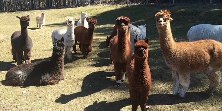 Our Hometown Stories | Consumers Energy