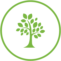 Extreme Heat | Consumers Energy